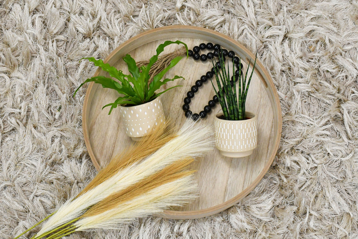 2.5" Pottery – Colasanti Farms