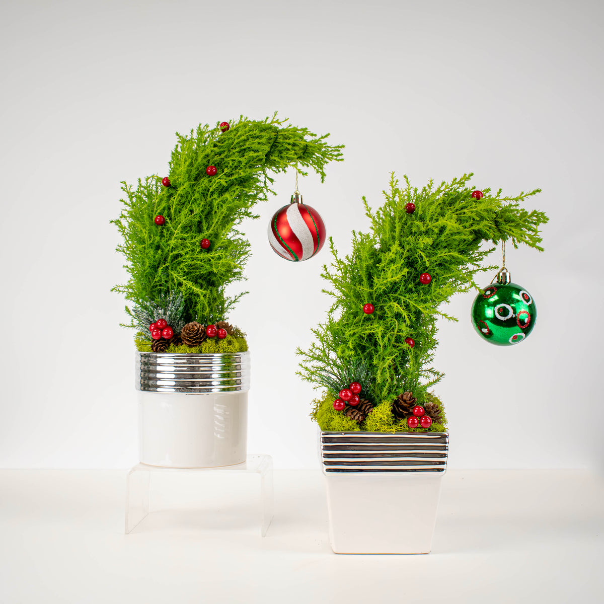 Whimsical Grinch Trees - PAK 8 (NOT EXPORTABLE) – Colasanti Farms