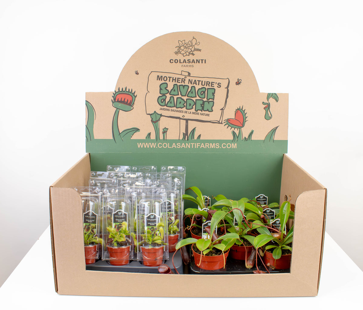 2.25" Venus Fly Trap & 3.25" Nepenthes, Asian Pitcher Plant - PAK 20 ...