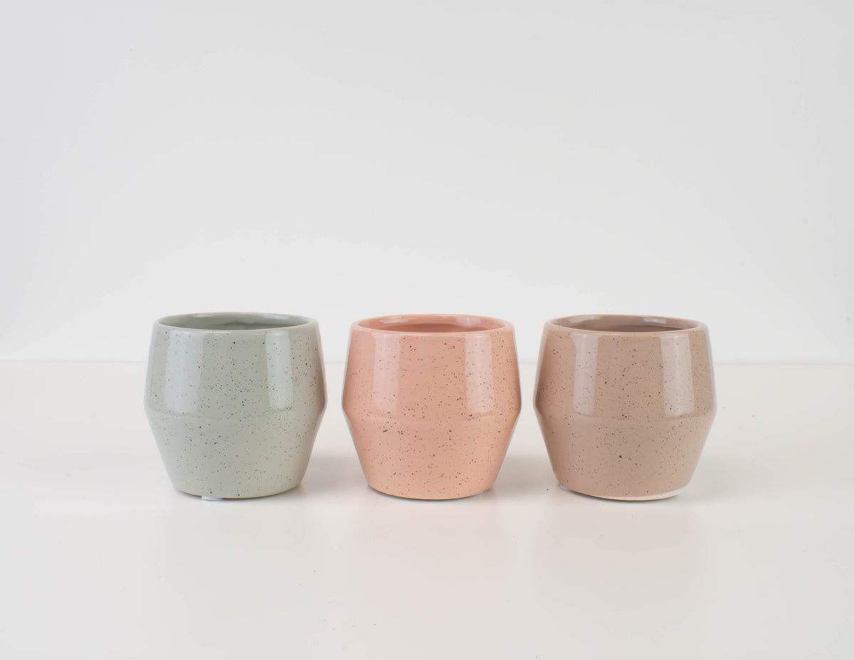 Small Arabella Pots - PAK 12 – Colasanti Farms