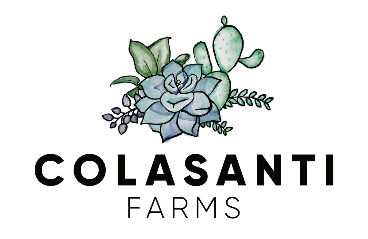 Colasanti Farms | Wholesale Plants