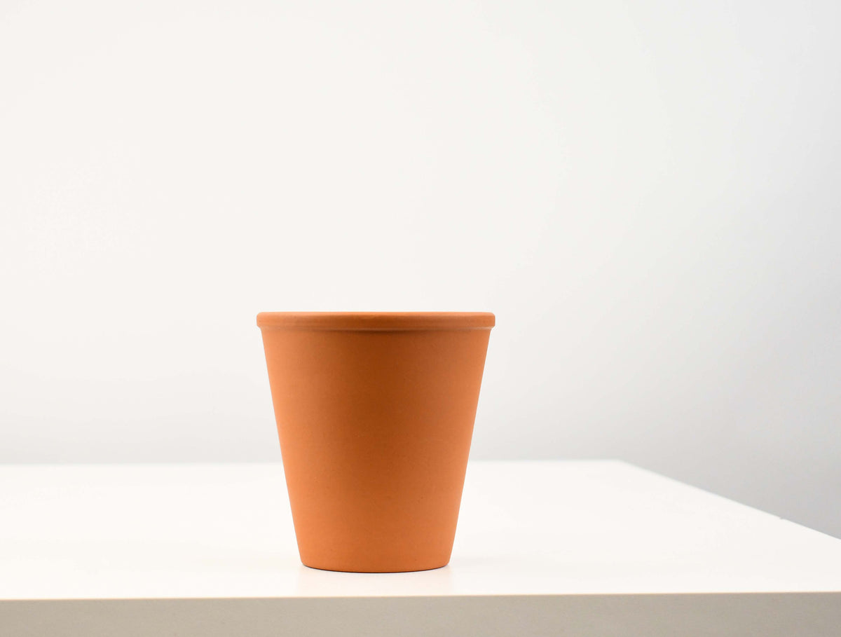 4" Rose Clay Pot - PAK 15 – Colasanti Farms